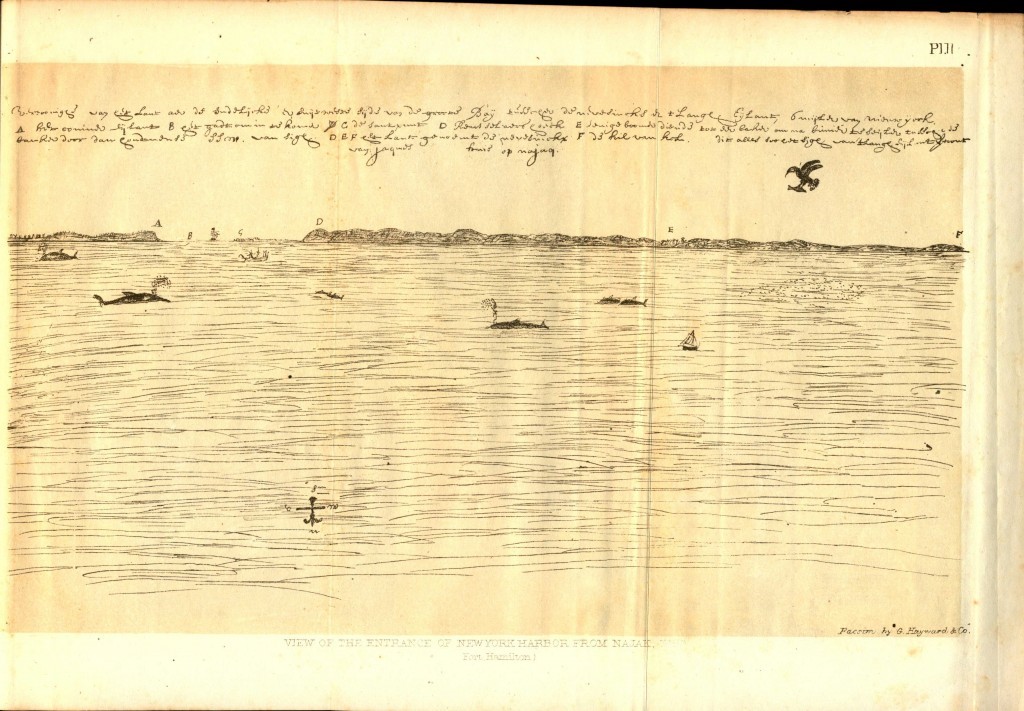 2021 EHFA Essay Contest Winner – Howell Family and the Whaling Industry ...